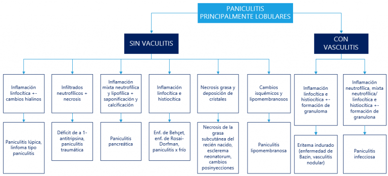 Paniculitis – Manual Digital de Dermatología